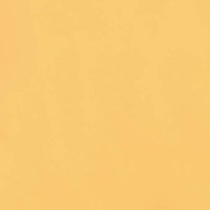 Martha Stewart Paint & Primer 8oz Spray Paint, 8 Ounce (Pack of 1), Neon Gloss Orange Soda 8 Fl Oz