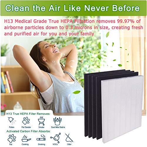 Flintar D480 H13 True HEPA Replacement Filter D4, Compatible with Winix D480 Air Purifier, H13 Grade True HEPA and 4 Activated Carbon Filters, D4 Filter, Item Number 1712-0100-00