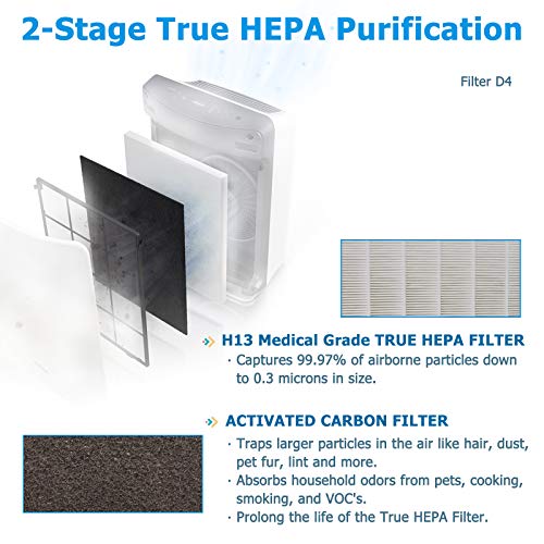 Flintar D480 H13 True HEPA Replacement Filter D4, Compatible with Winix D480 Air Purifier, H13 Grade True HEPA and 4 Activated Carbon Filters, D4 Filter, Item Number 1712-0100-00