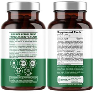 N1N Premium Organic Superfood Greens [28 Powerful Ingredients] Natural Fruit and Veggie Supplement with Alfalfa, Beet Root and Ginger to Boost Energy, Immunity and Gut Health, Made in USA, 60 Ct