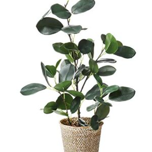 SAROSORA Artificial Ficus Tree Fake Plants in Weaved Pot 20" Height for Living Room Decor Indoor Home Office Ins Style (Green, 1)