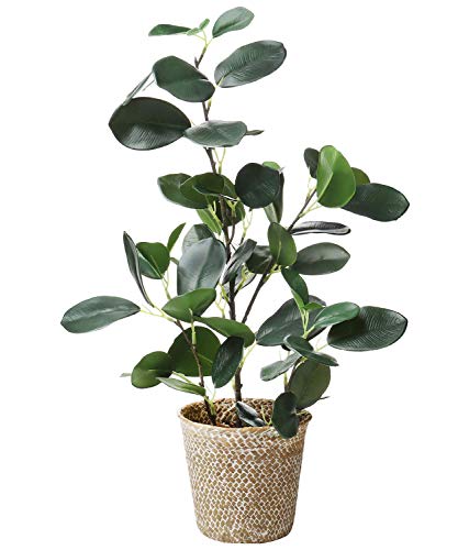 SAROSORA Artificial Ficus Tree Fake Plants in Weaved Pot 20" Height for Living Room Decor Indoor Home Office Ins Style (Green, 1)