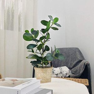 SAROSORA Artificial Ficus Tree Fake Plants in Weaved Pot 20" Height for Living Room Decor Indoor Home Office Ins Style (Green, 1)