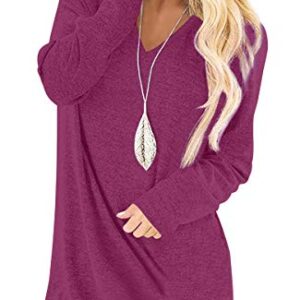 Jescakoo Womens Long Sleeve Tops Loose Fall Tunic Shirts V Neck Workout Fuchsias S