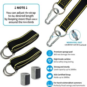 Tree Swing Hanging Straps Kit - Holds 2800 lbs (SGS Certified), 5ftx2 Hammock Straps with 2 Heavy Duty Locking Carabiners and 2 Tree Protectors, Polyester Straps Perfect for Tree Swings & Hammocks