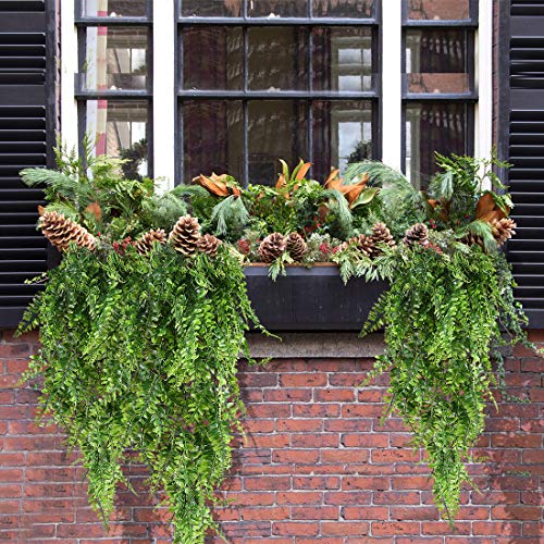 HAPLIA Artificial Plants Vines Ferns Persian Rattan Fake Plant Faux Hanging Boston Fern Flowers Vine Outdoor UV Resistant Plastic Plants for Wall Indoor Hanging Baskets Wedding Garland Decor-2 pcs