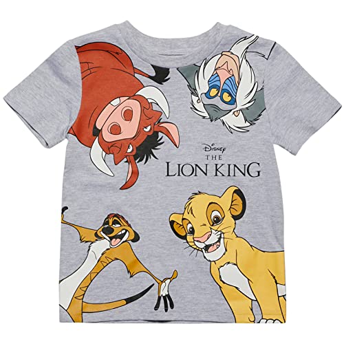 Disney Lion King Rafiki Pumbaa Timon Simba Toddler Boys 3 Pack T-Shirts 3T