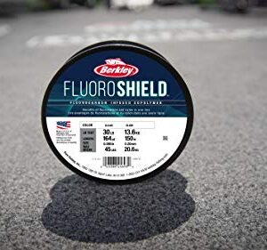 Berkley FluoroShield™, Clear, 15lb | 6.8kg, 300yd | 274m Fishing Line, Suitable for Freshwater Environments