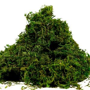 farmoo fake moss for crafts, artificial green moss for potted plants centerpieces decor (3.5oz)