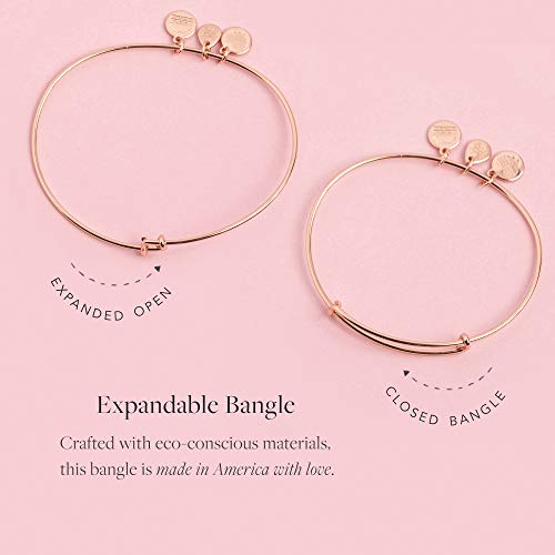 Alex and Ani Collaborations Expandable Bangle for Women, Team USA Track and Field Duo Charms, Shiny Gold Finish, 2 to 3.5 in