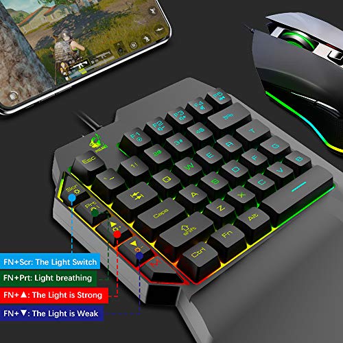 Gaming Keyboard and Mouse Combo, Wired 39 Keys Mechanical Feeling Rainbow LED Backlit Keyboard and RGB Gaming Mouse and LED Backlit Converter Compatible with PS4/Xbox One/Nintendo Switch/PS3 /PC