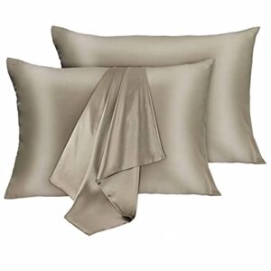 Kinself Silk Pillowcase for Hair and Skin, 2 Pack 100% Both Side Mulberry Silk Bed Pillowcase with Hidden Zipper, Silk Pillow Cover 19 Momme, Soft Breathable Smooth, Silk King Pillow Case (Coffee)