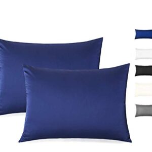 100% Mulberry Silk Pillowcase for Hair and Skin, Both Side 19 Momme Silk with Hidden Zipper,2 Pack (Navy Blue, Standard)