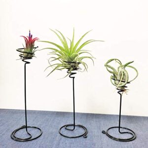 AHANDMAKER 6 Packs Airplant Planter Holder, 3 Sizes Air Plant Container Tillandsia Holder for Displaying Small Air Plant, Home Office Desktop Decoration