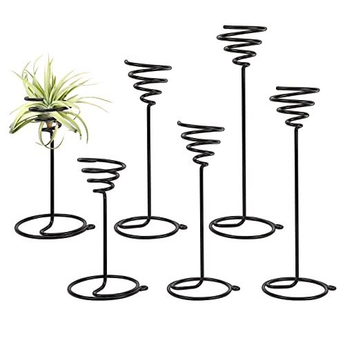 AHANDMAKER 6 Packs Airplant Planter Holder, 3 Sizes Air Plant Container Tillandsia Holder for Displaying Small Air Plant, Home Office Desktop Decoration