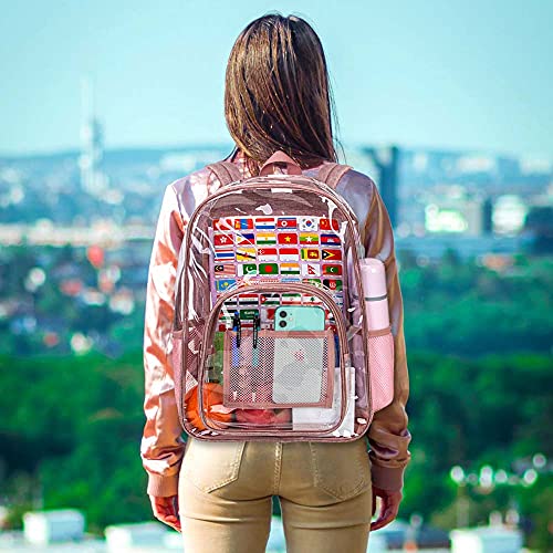 Clear Backpack, Transparent Bookbag Heavy Duty See Through Backpacks for Women - Pink