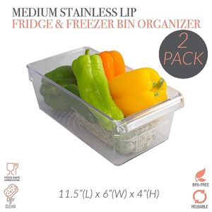 Kitchen Details 2 Pack Medium Refrigerator Storage Bin | Fridge & Freezer | Kitchen Organization | Stainless Steel Handle | Countertop | Cabinets | Pantry | Clear