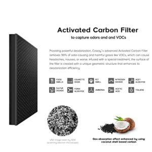 Coway Airmega 150 Air Purifier Replacement Filter Set, Green True HEPA and Active Carbon Filter, AP-1019C-FP