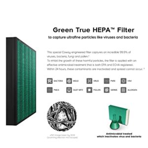 Coway Airmega 150 Air Purifier Replacement Filter Set, Green True HEPA and Active Carbon Filter, AP-1019C-FP