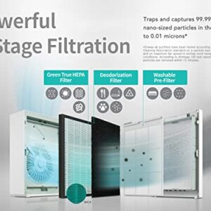 Coway Airmega 150 Air Purifier Replacement Filter Set, Green True HEPA and Active Carbon Filter, AP-1019C-FP