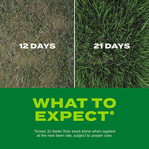 Scotts Turf Builder Rapid Grass Sun & Shade Mix, Combination Seed and Fertilizer, Grows Green Grass in Just Weeks, 16 lbs.