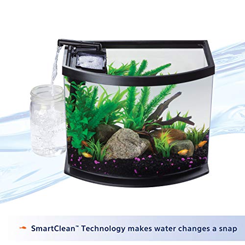 Aqueon LED MiniBow Small Aquarium Fish Tank Kit with SmartClean Technology, Black, 5 Gallon