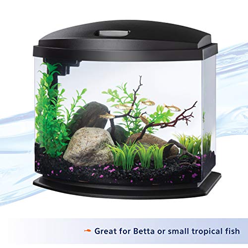 Aqueon LED MiniBow Small Aquarium Fish Tank Kit with SmartClean Technology, Black, 5 Gallon