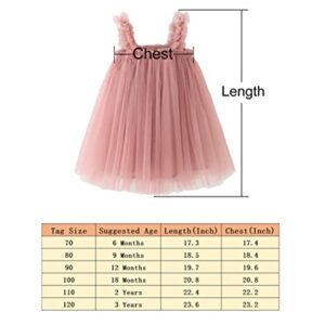 BGFKS Layered Tulle Tutu Dress for Toddler Girls,Baby Girl Rainbow Tutu Princess Skirt Set with Flower Headband.(Dusty Rose,3T)