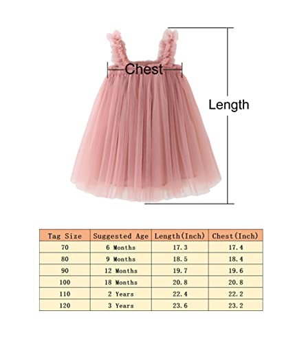 BGFKS Layered Tulle Tutu Dress for Toddler Girls,Baby Girl Rainbow Tutu Princess Skirt Set with Flower Headband.(Dusty Rose,3T)