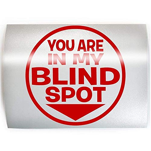 YOU ARE IN MY BLIND SPOT - PICK COLOR & SIZE - RV Trailer Caution Back Door Vinyl Decal Sticker D