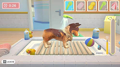 My Universe - Pet Clinic: Cats & Dogs (NSW) - Nintendo Switch