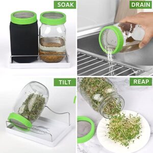 Seed Sprouting Jar Kit with Wide Mouth Mason Jars, Premium Stainless Steel Screen Sprout Lids, Blackout Sleeves, Tray and Sprouter Stand - Growing Broccoli, Alfalfa, Mung Beans and More