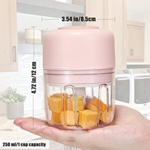 AYOTEE Cordless Electric Small Food Processor, Mini Food Chopper For Garlic Veggie Vegetables Fruit, Salad Mincing & Puree, Kitchen, 1 Cup 250ML, BPA free, Pink