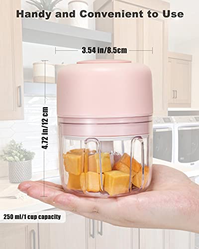 AYOTEE Cordless Electric Small Food Processor, Mini Food Chopper For Garlic Veggie Vegetables Fruit, Salad Mincing & Puree, Kitchen, 1 Cup 250ML, BPA free, Pink