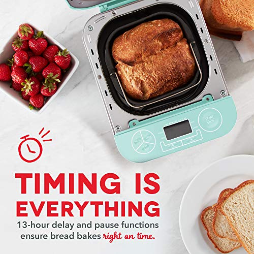 Dash Everyday Stainless Steel Bread Maker, Up to 1.5lb Loaf, Programmable, 12 Settings + Gluten Free & Automatic Filling Dispenser - Aqua