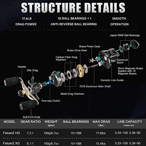 SeaKnight FALCAN2 Baitcasting Fishing Reel, 17.6LB Max Drag & Magnet Braking System Baitcasters, 7.2:1/8.1:1 Gear Ratio Low Profile Caster Reel