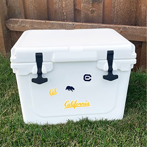 Desert Cactus University of California Berkeley Sticker Golden Bears Cal UC Stickers Vinyl Decals Laptop Water Bottle Car Scrapbook T2 (Type 2)