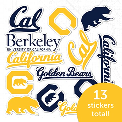 Desert Cactus University of California Berkeley Sticker Golden Bears Cal UC Stickers Vinyl Decals Laptop Water Bottle Car Scrapbook T2 (Type 2)