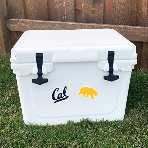 University of California Berkeley Sticker Golden Bears Cal UC Stickers Vinyl Decals Laptop Water Bottle Car Scrapbook T1 (Type 1-1)