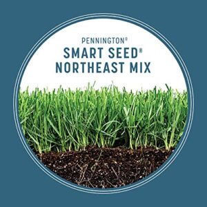 Pennington Smart Seed Northeast Grass Mix 3 lb