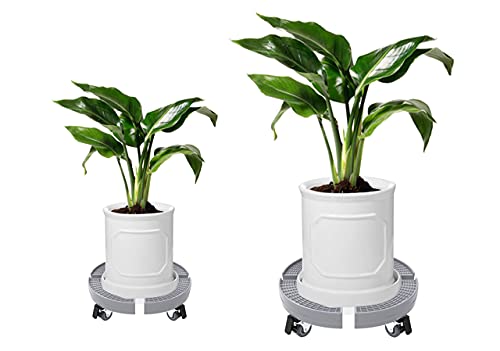 Adjustable Plant Stand (15-20’’) with Wheels Large Potted Planter Plant Stand on Wheels Pound Heavy Duty Plant Dolly Movable Plant Caddy Adjustable Rolling Tray Coaster…