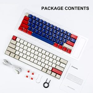 Newmen GM610 60% Wireless Mechanical Keyboard,Wired/Bluetooth RGB Backlit,61 Anti-Ghosting Keys,Programmable,Hot-Swappable Gaming Keyboard,for PC Windows Mac Laptop Computer(Linear Red Switch)