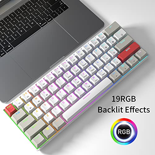 Newmen GM610 60% Wireless Mechanical Keyboard,Wired/Bluetooth RGB Backlit,61 Anti-Ghosting Keys,Programmable,Hot-Swappable Gaming Keyboard,for PC Windows Mac Laptop Computer(Linear Red Switch)