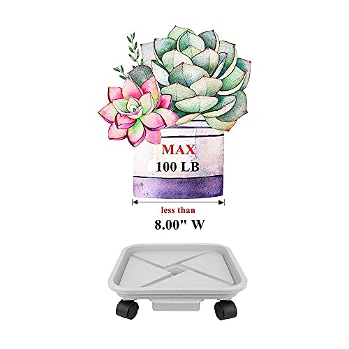 BangQiao 2 Pack 8.80 Inch Base Width Gray Plastic Square Plant Caddy with Wheels, Drainage,and Water Container, Rolling Pot Dolly Trolley Stand Holder Pallet with Caster for Indoor Outdoor Planter