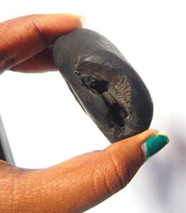 xuetzalcoatl sacred adwaitya achharya shaligram nepal kali gandaki