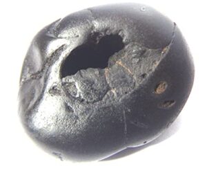 sarovattam narayan purushottam maha vishnu shaligram nepal kali gandaki