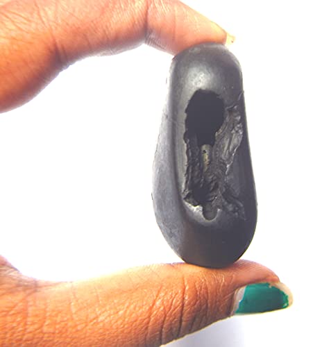 XUETZALCOATL Purushottam Laxmi Maha Vishnu Buddha Dev Shaligram Nepal Kali Gandaki