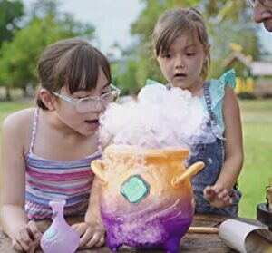 Magic Mixies Magical Misting Cauldron with Interactive 8 inch Pink Plush Toy and 50+ Sounds and Reactions