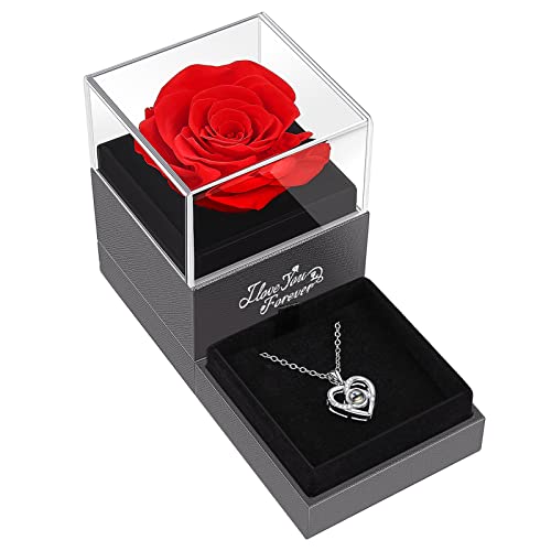 ASELFAD Preserved Red Real Rose with I Love You Necklace -Eternal Flowers Rose Gifts for Mom Wife Girlfriend Her on Anniversary Mothers Day Valentines Day Christmas Birthday Gifts for Women