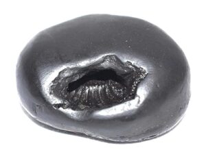 sesha shaligram/shesha salagram - nepal